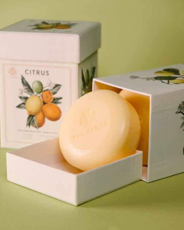 Bar Soap Box Set 3x150g | Alchimia Soap